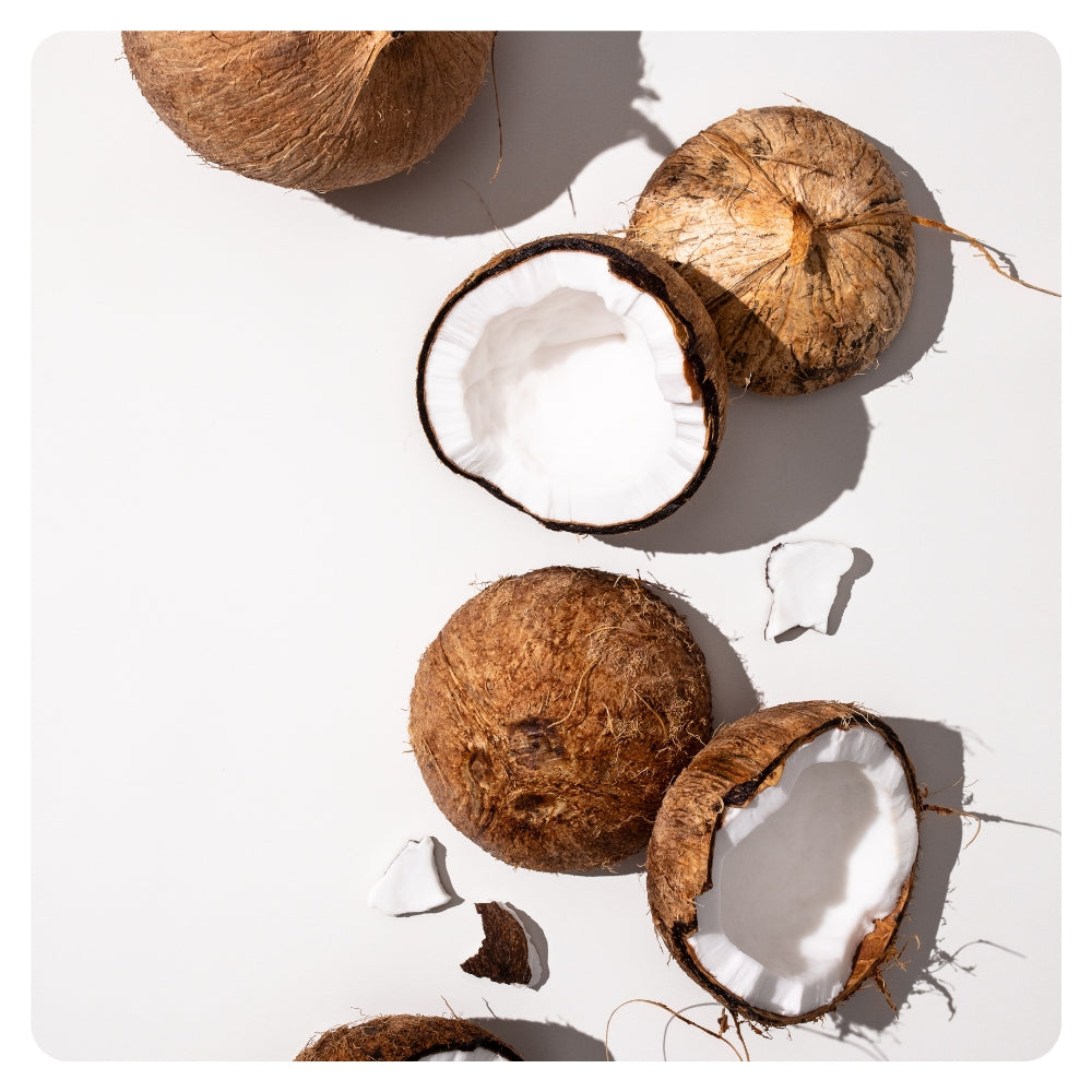 Dragon Fruit - NOOMA